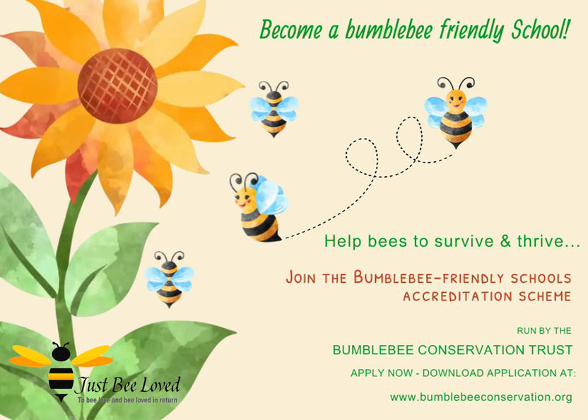 Bumblebee Friendly Schools Scheme – Just Bee Loved