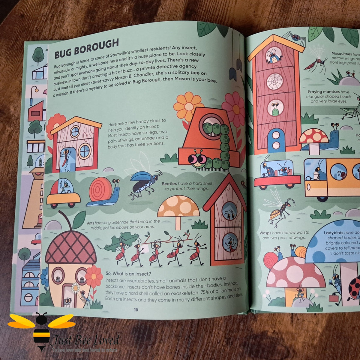 Stemville: The Bee Connection - Hardback (Free Teaching Guide) – Just ...